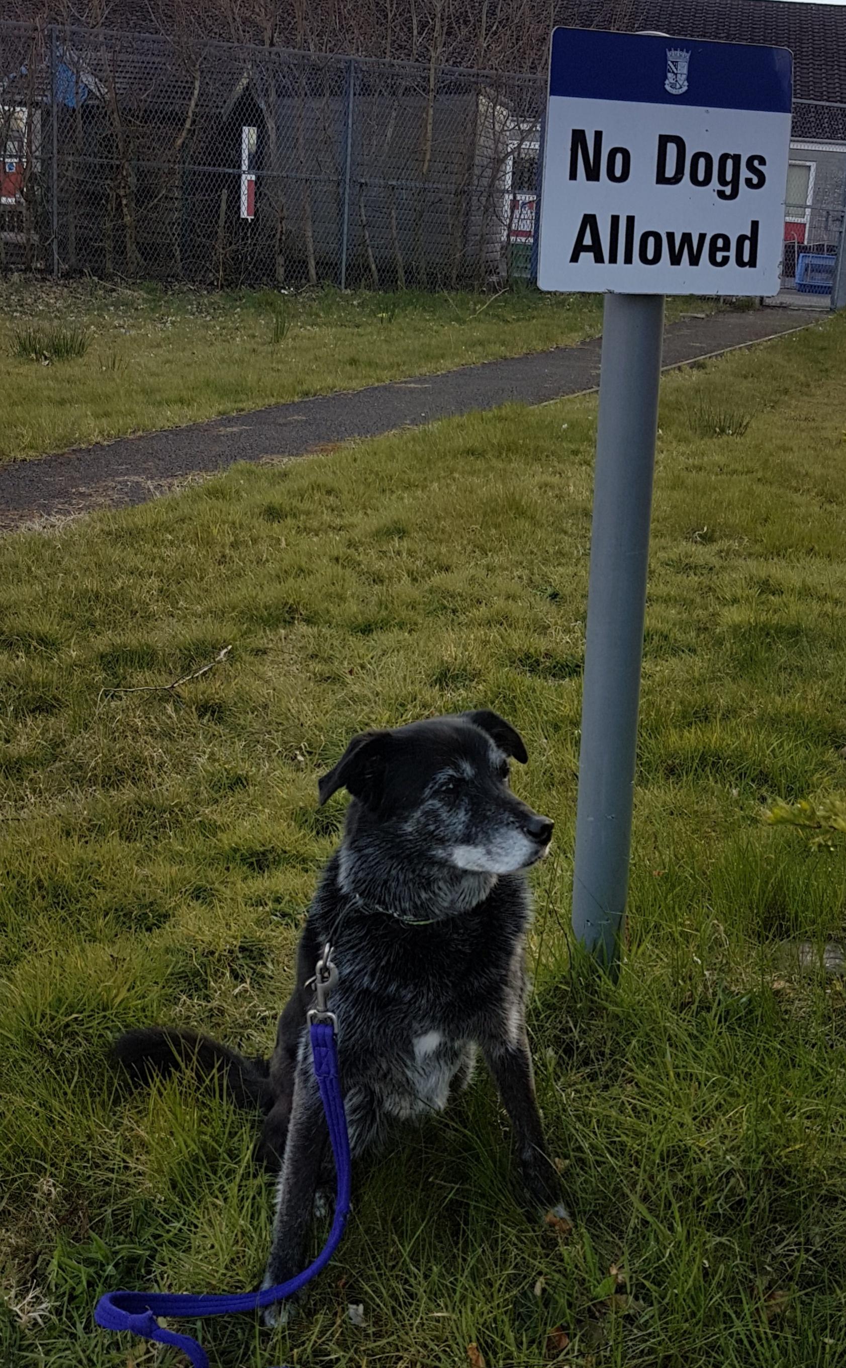 Rules are meant to be broken | Scrolller