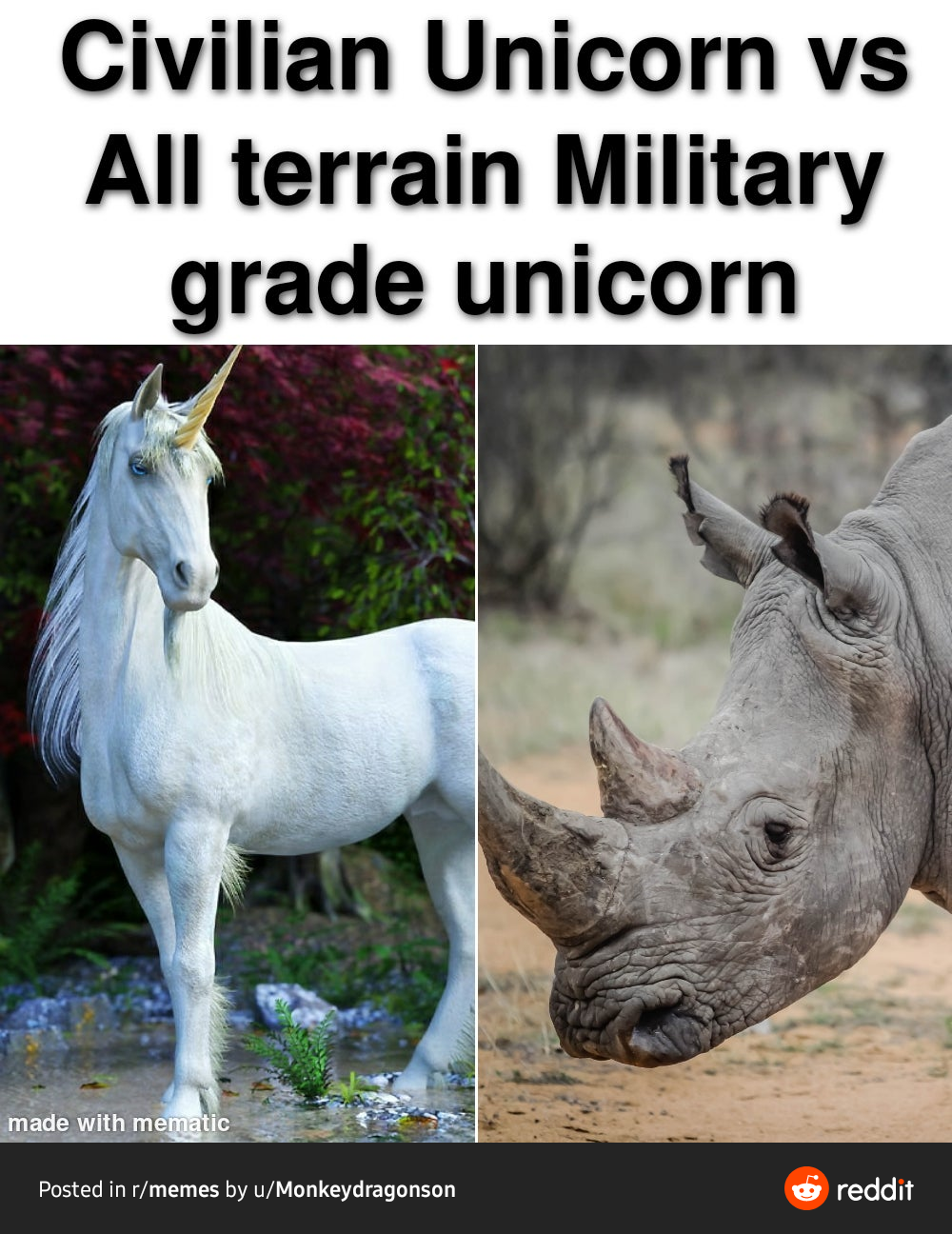 Rules Are Rules Scrolller