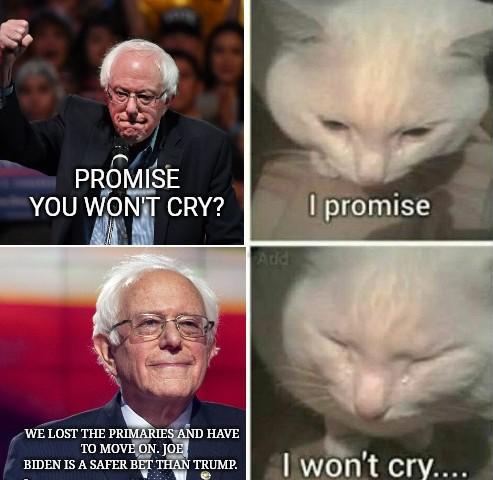 Sad boi meme | Scrolller