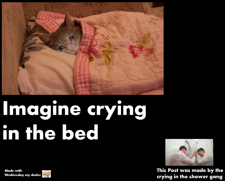 *sad crying noises* | Scrolller