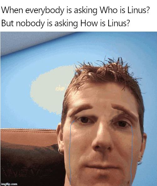 sad Linus | Scrolller