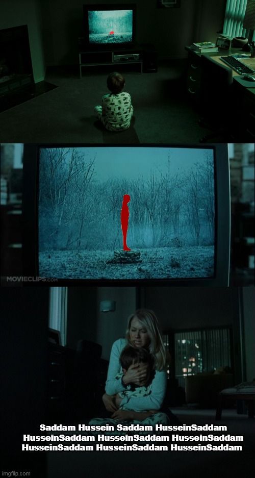 Saddam Hussein's actual hiding place | Scrolller