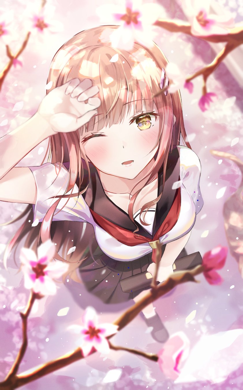 Sakura [Original] | Scrolller