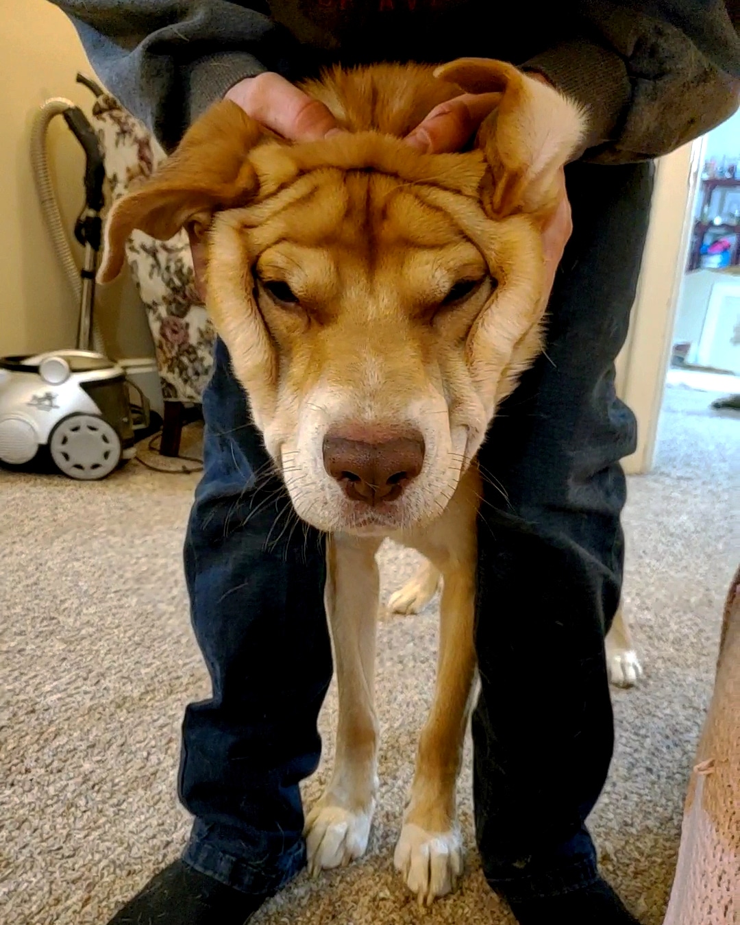 Sam sam the squishy man | Scrolller