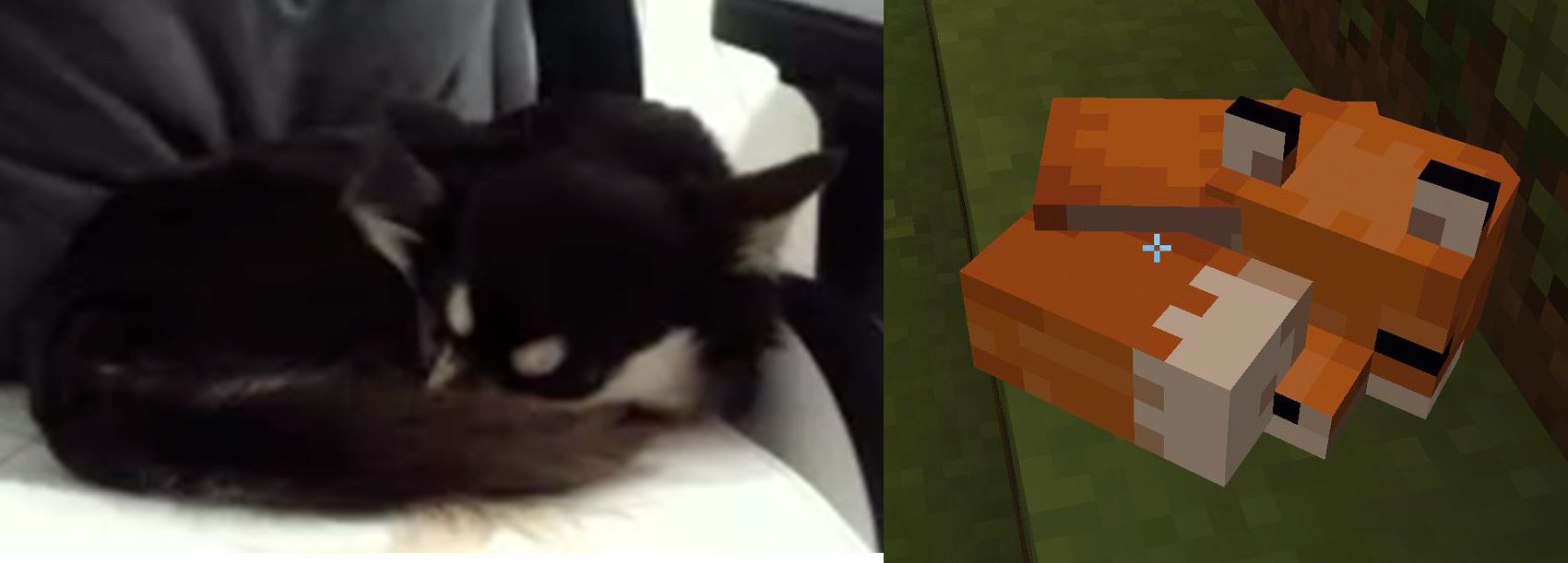 Same Aura | Scrolller