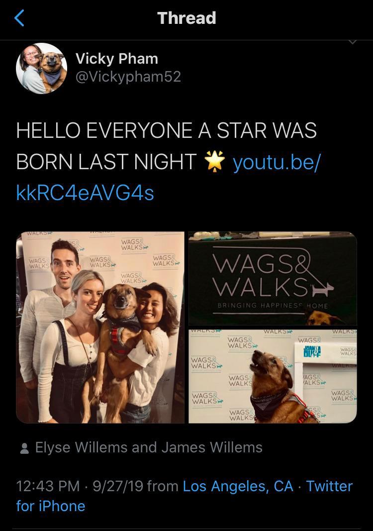 Samson starred in his first music video! | Scrolller