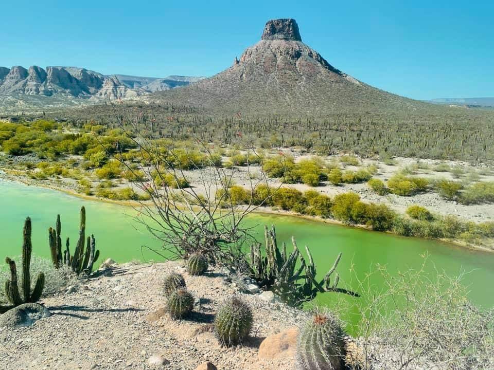 San Isidro, Baja California MX, is an Oasis in the middle of the desert 🏜 | Scrolller