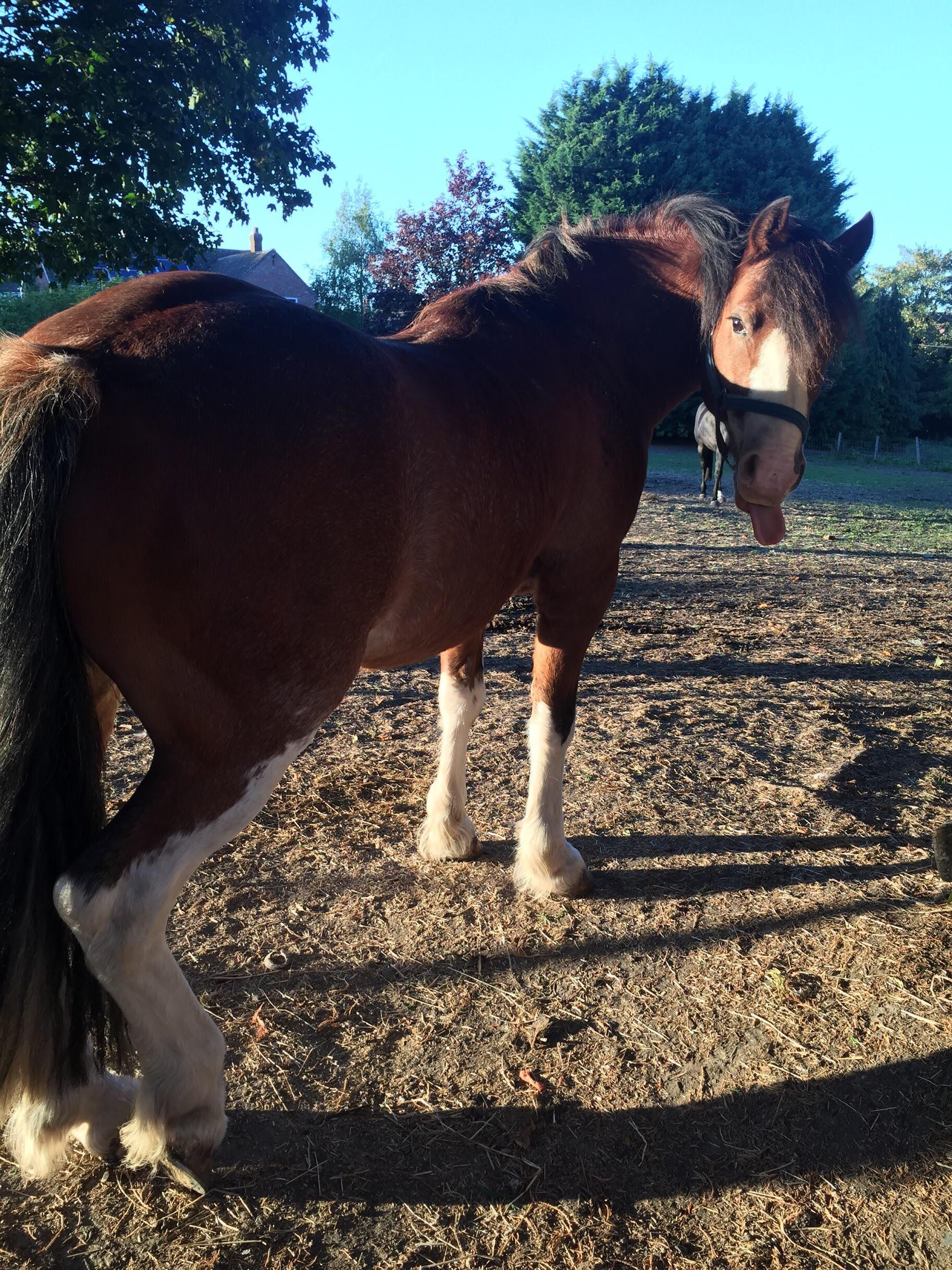 Sassy blup | Scrolller