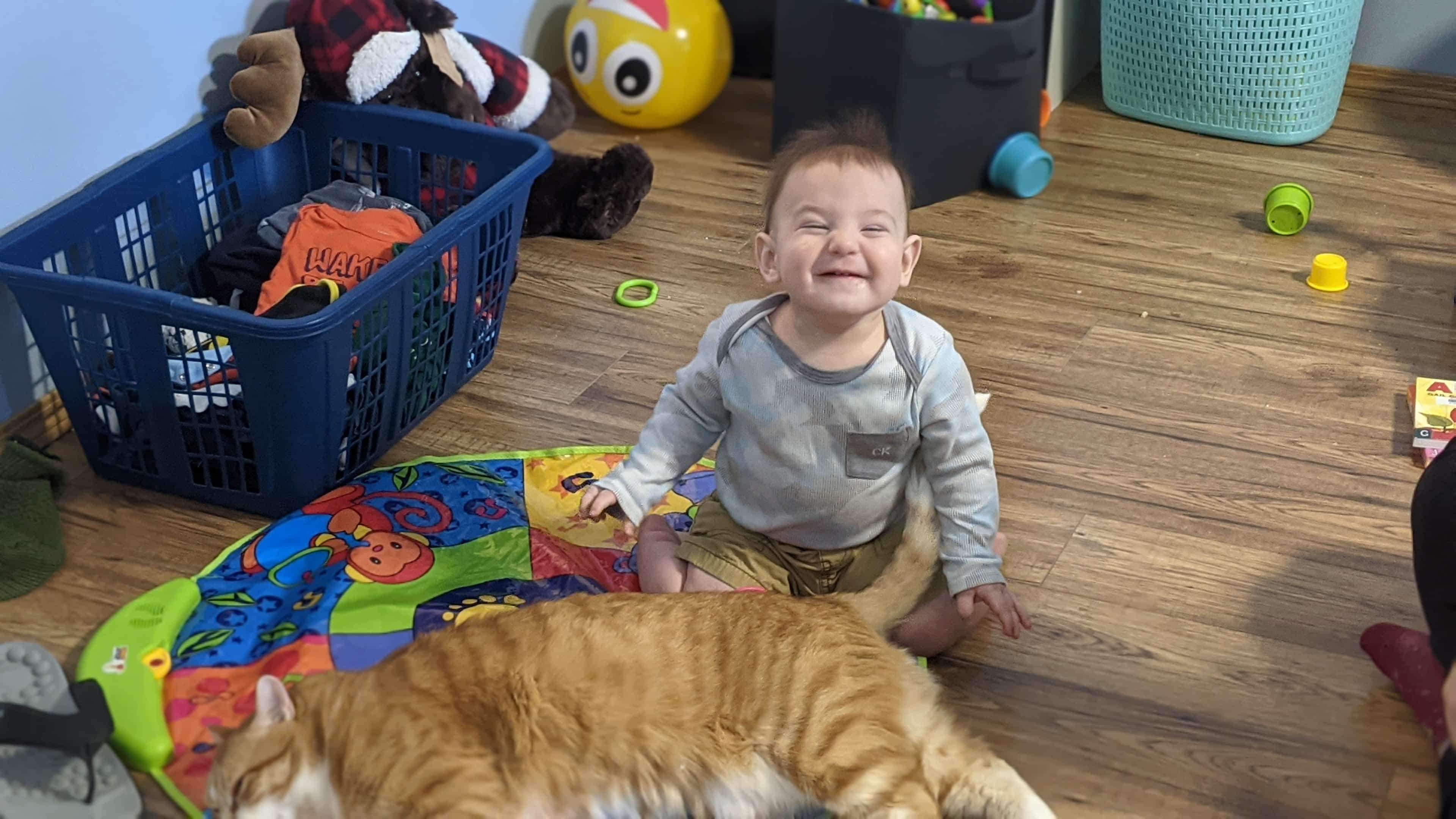 Say CHEESE! | Scrolller