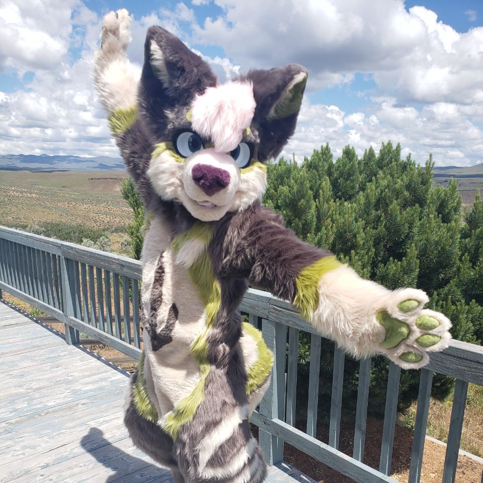 Say hello to benn, aka me! Suit is by high desert fursuits. | Scrolller