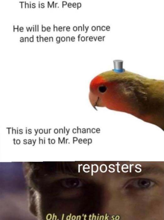 Say hi to mr.peep | Scrolller