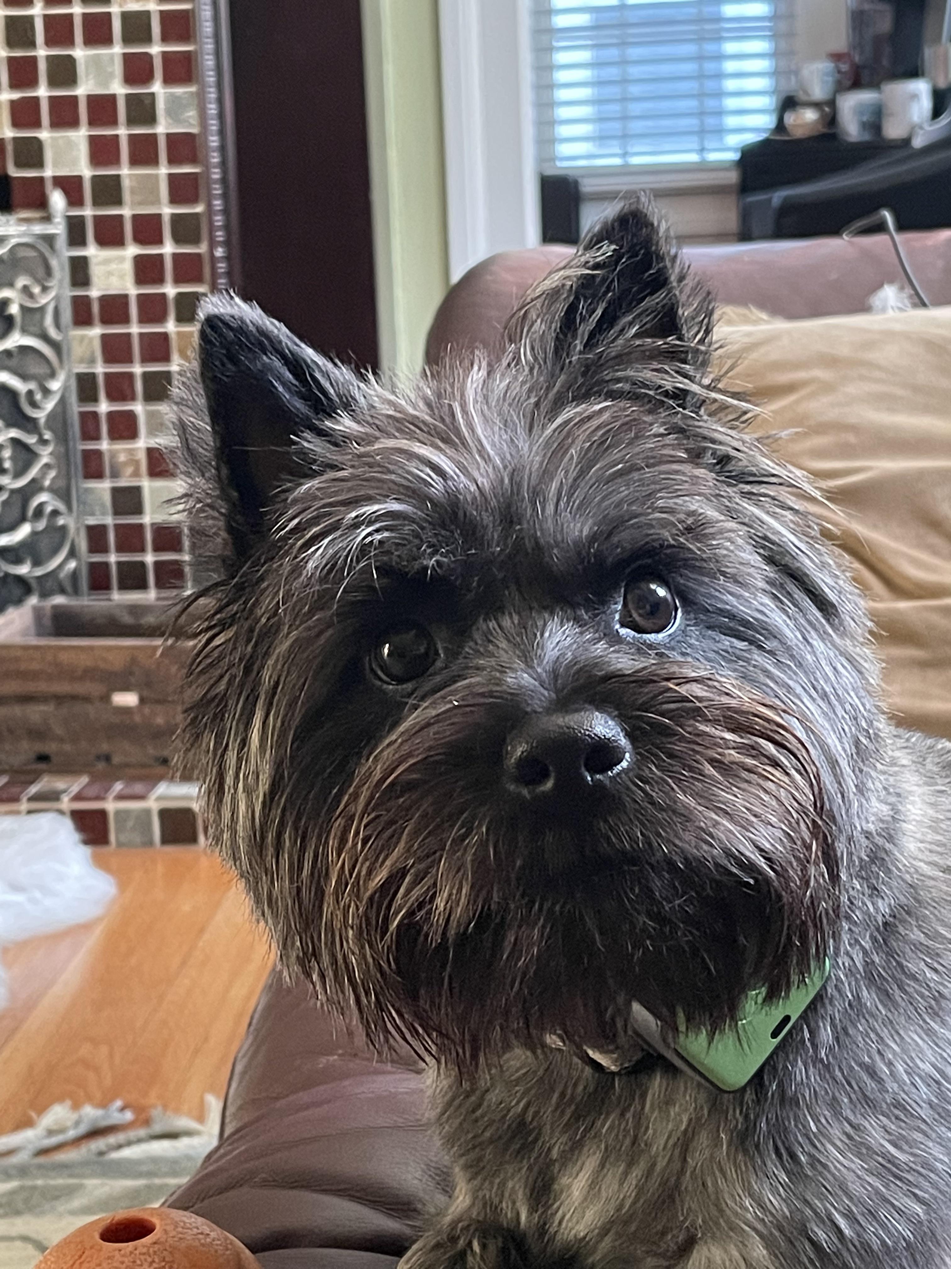 Say what? | Scrolller