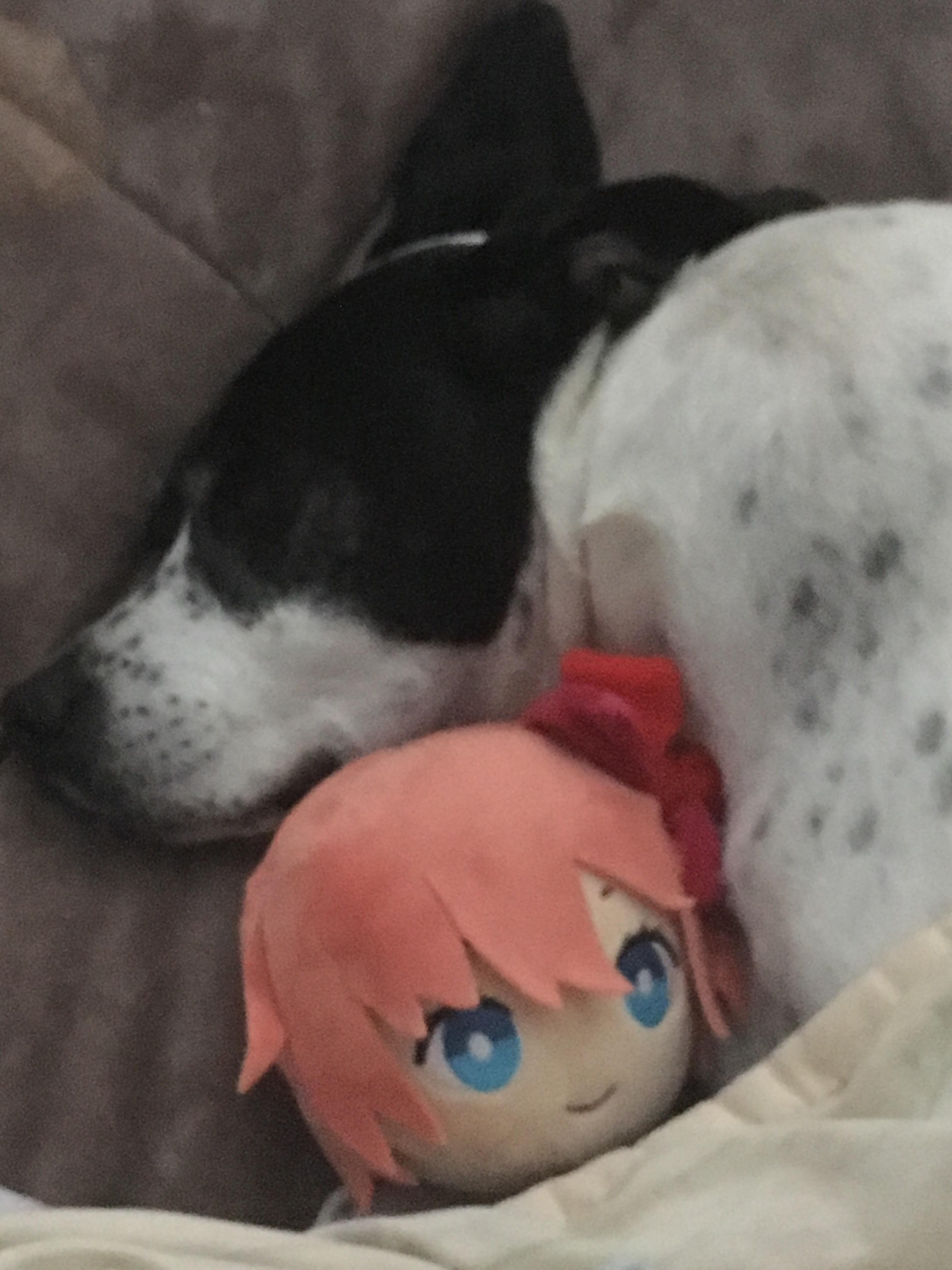 Sayori cuddles | Scrolller