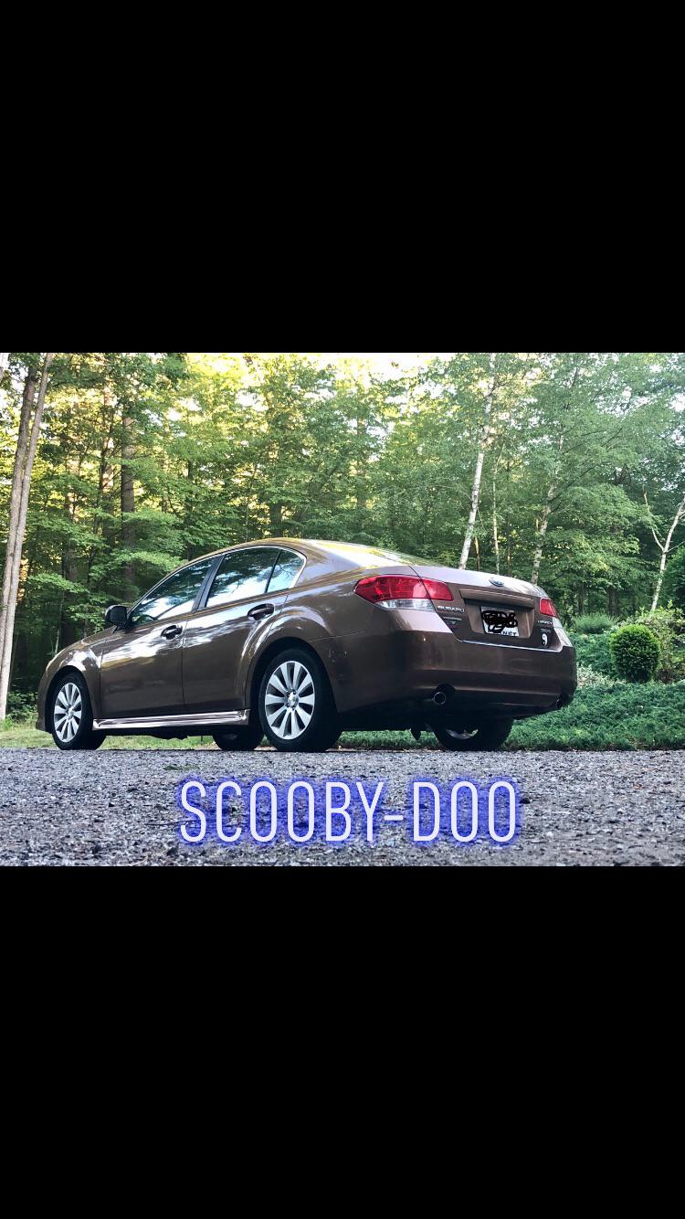 Scooby all squeaky clean after a bath~ | Scrolller