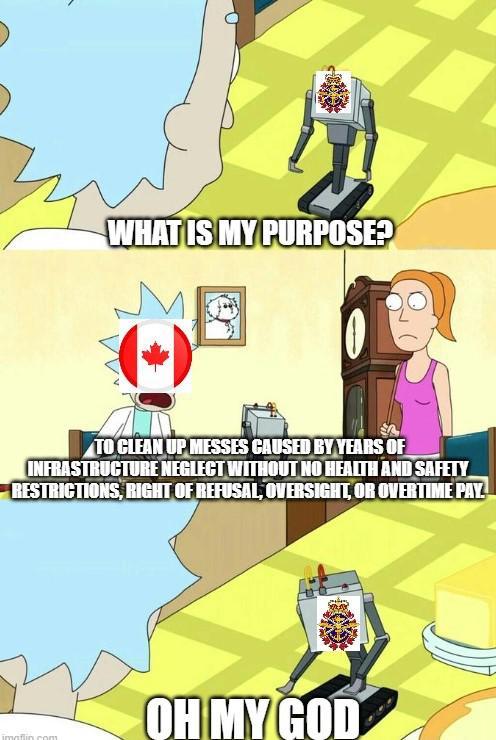 SCS: My Experience In the Army This Past Year | Scrolller