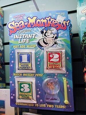 SEA MONKEYS | Scrolller