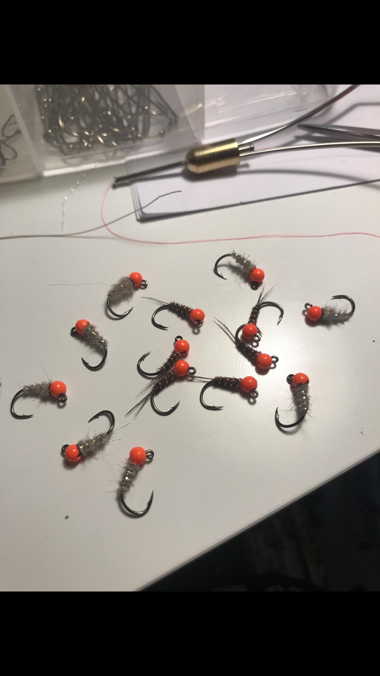 Sea trout candy | Scrolller