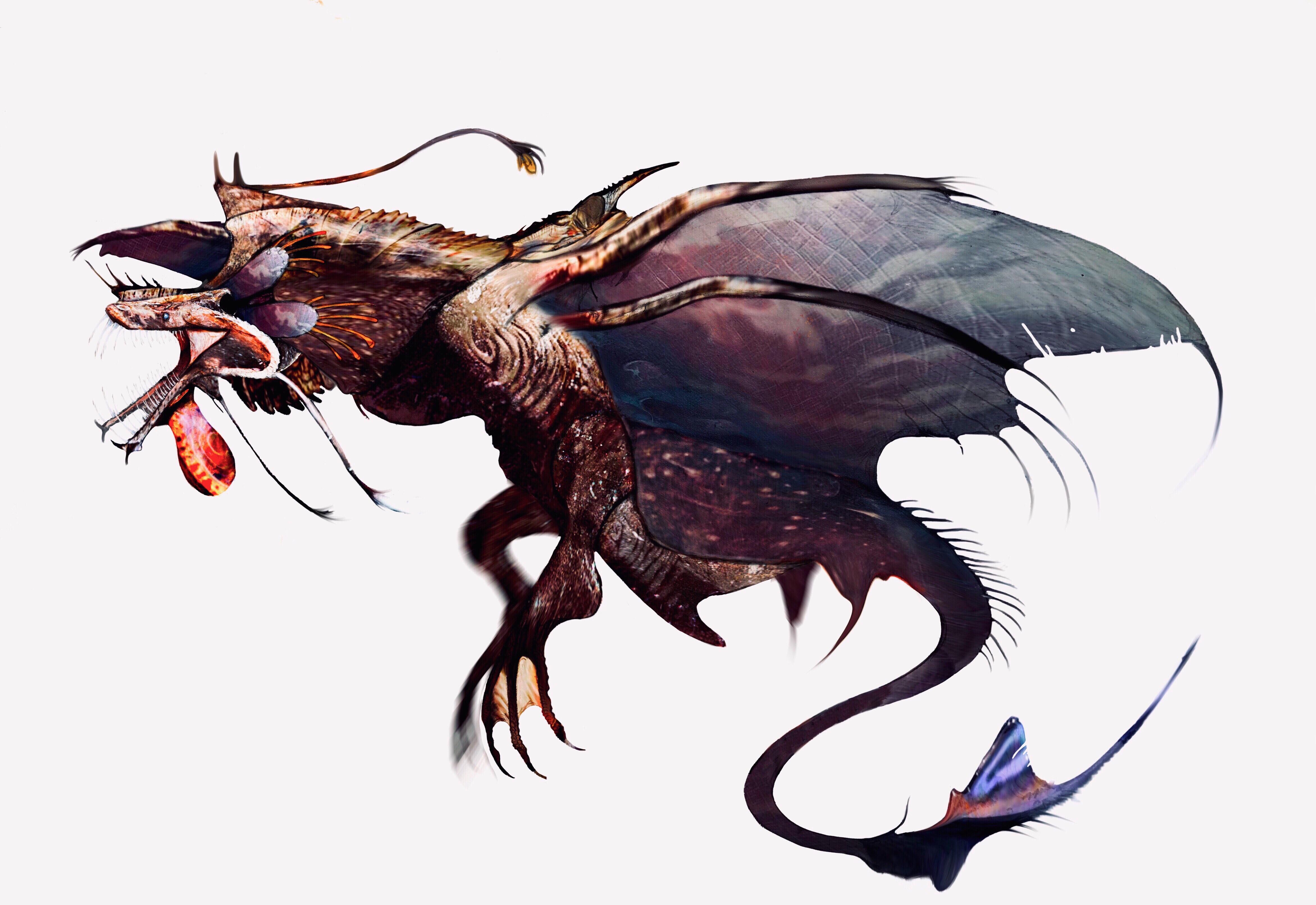 Sea wyvern | Scrolller