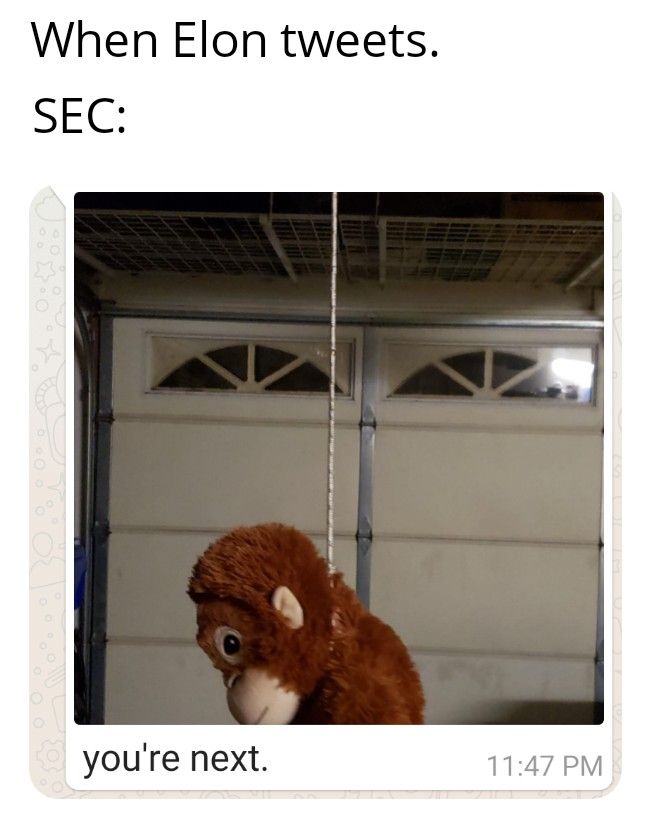 SEC be like | Scrolller