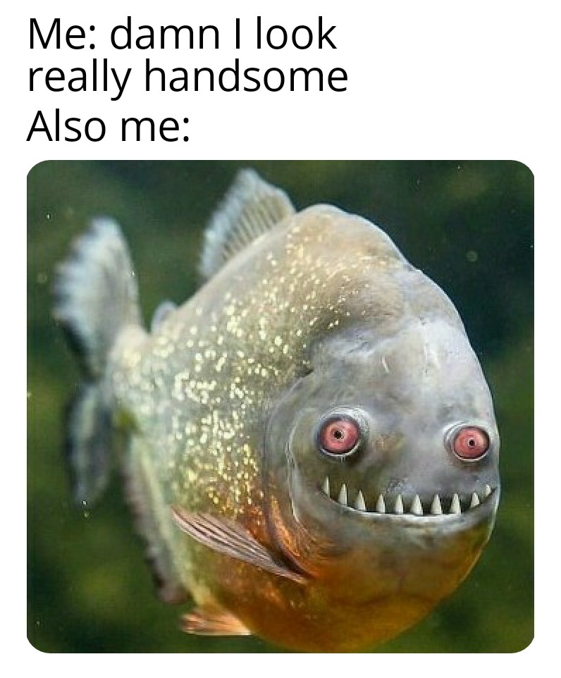 See guys I tho be looking handsome | Scrolller