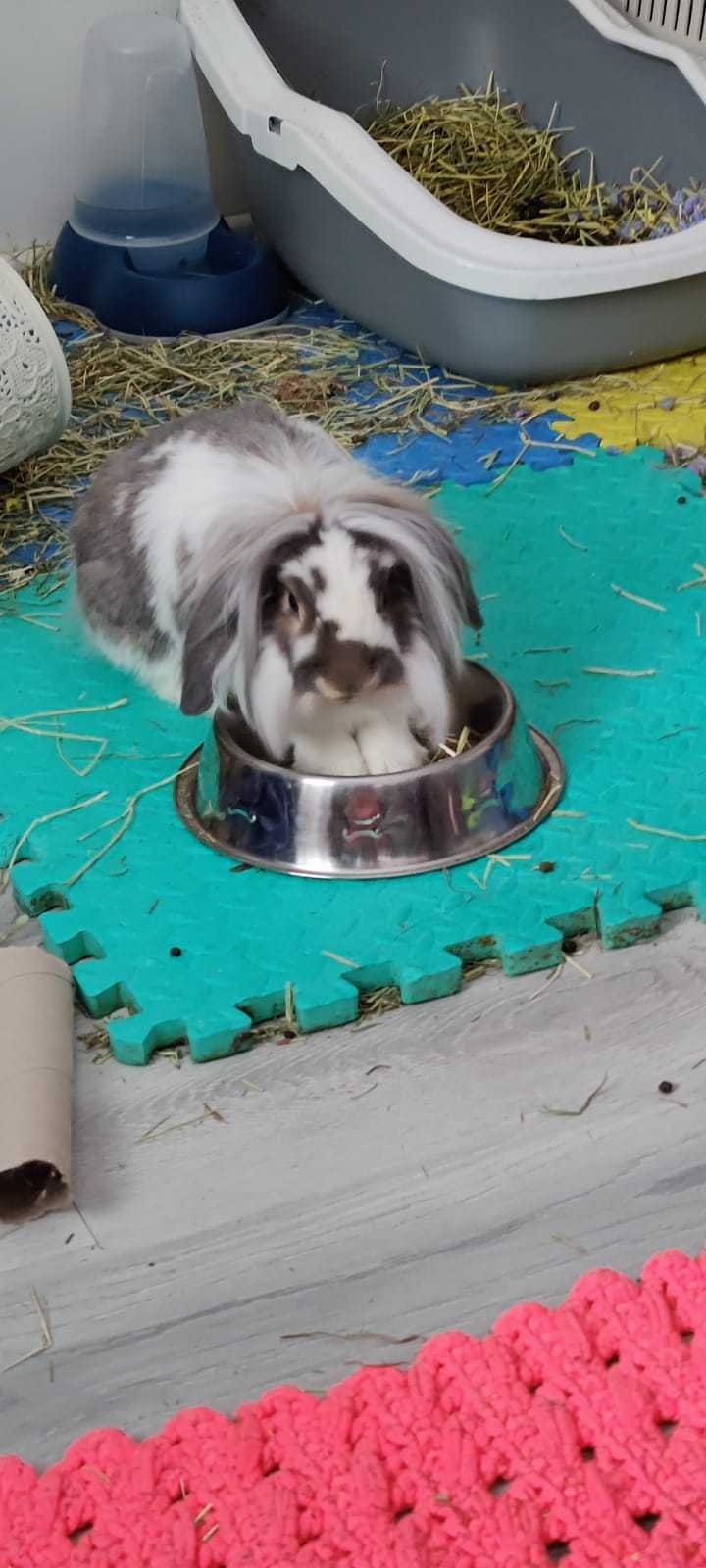 "See this bowl right here? ITS EMPTY" | Scrolller