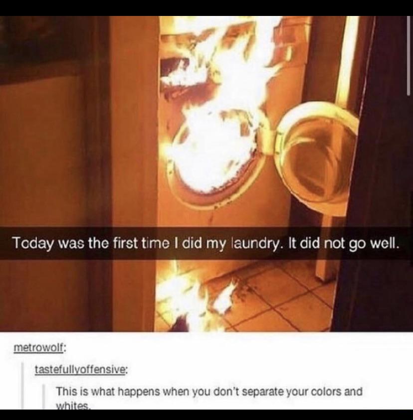 Segregation | Scrolller