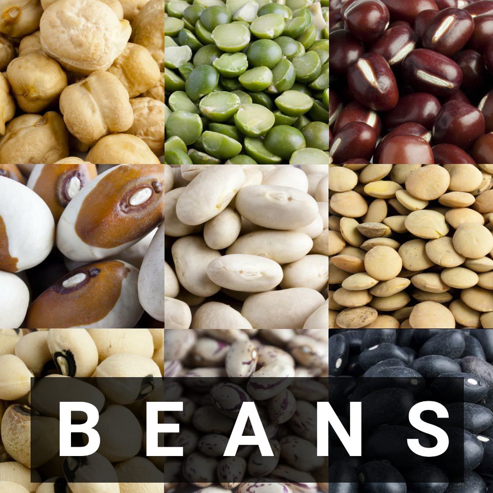 Self Explanatory | Scrolller