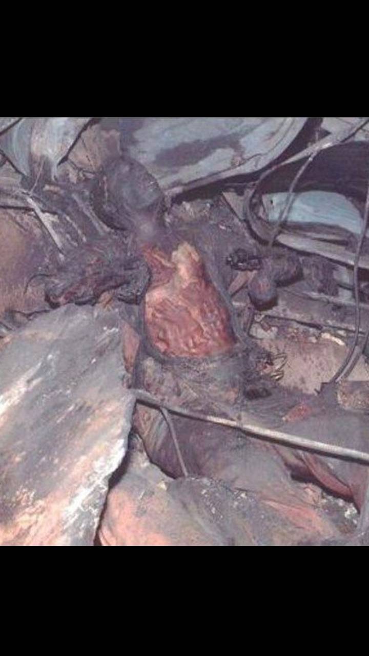 September 11 corpse | Scrolller