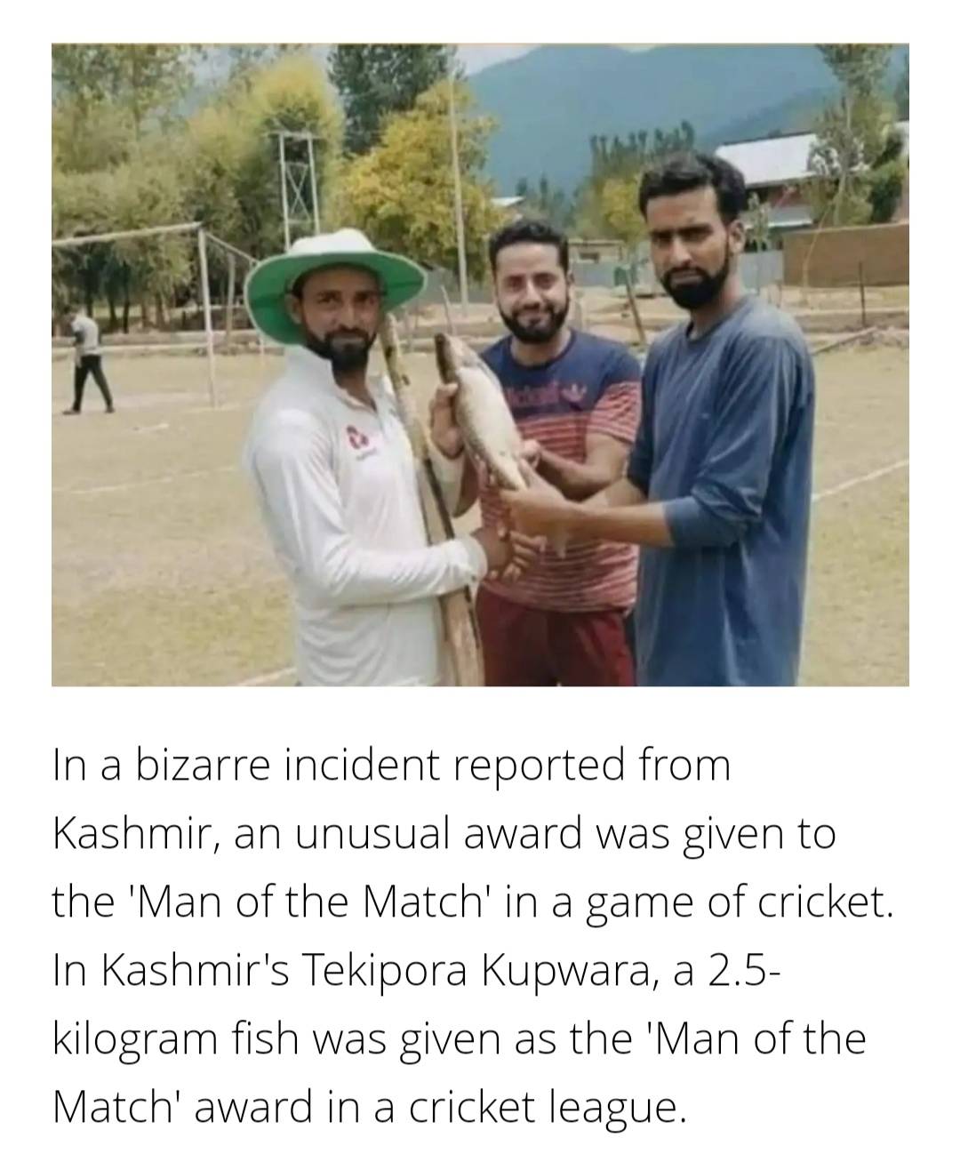 September 2020 | Scrolller