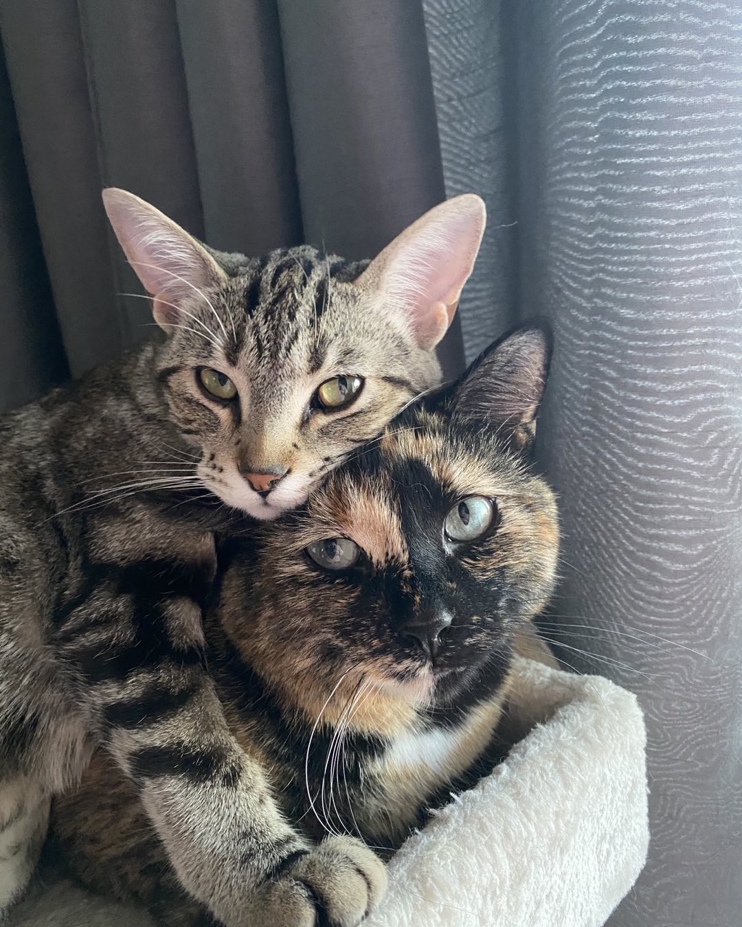 Seriously? | Scrolller