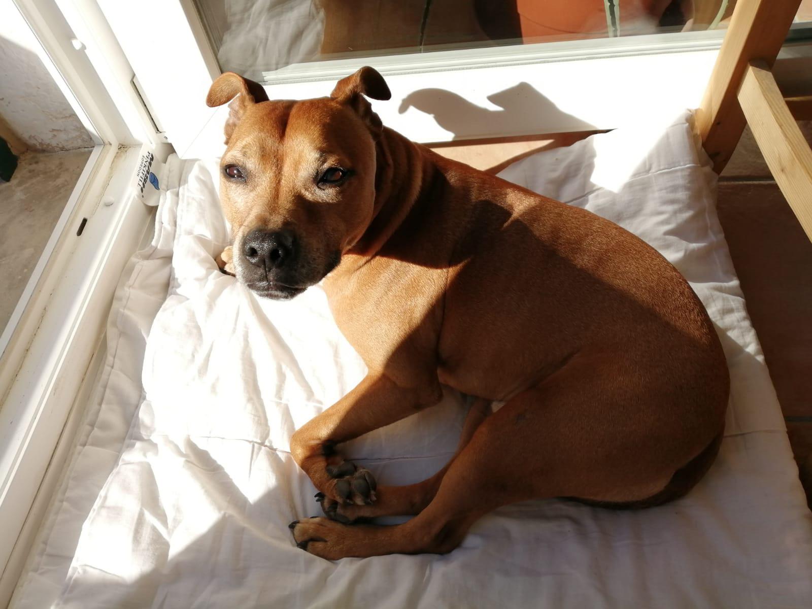 Seriously cute | Scrolller