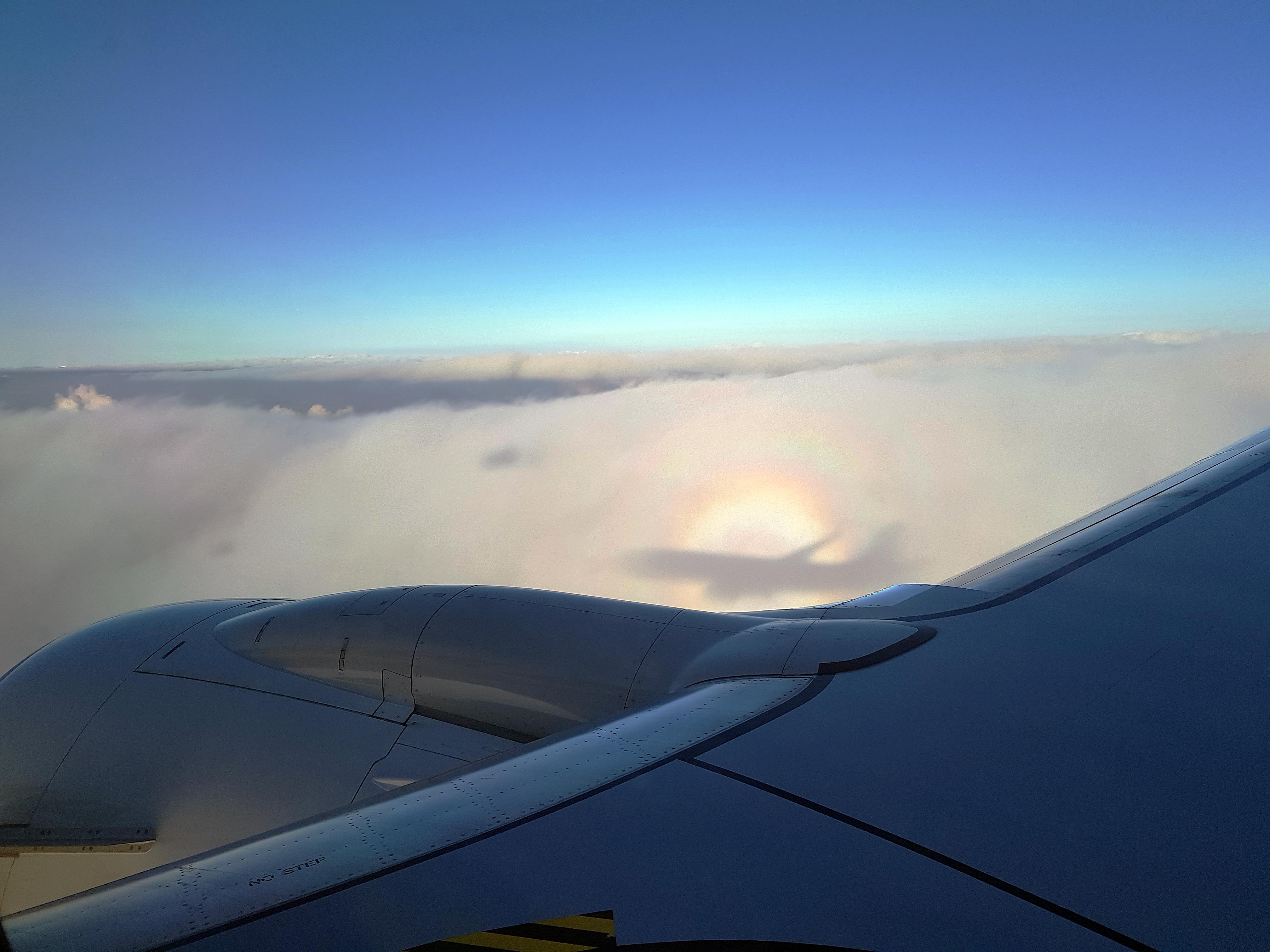 Seven Three Sundog | Scrolller