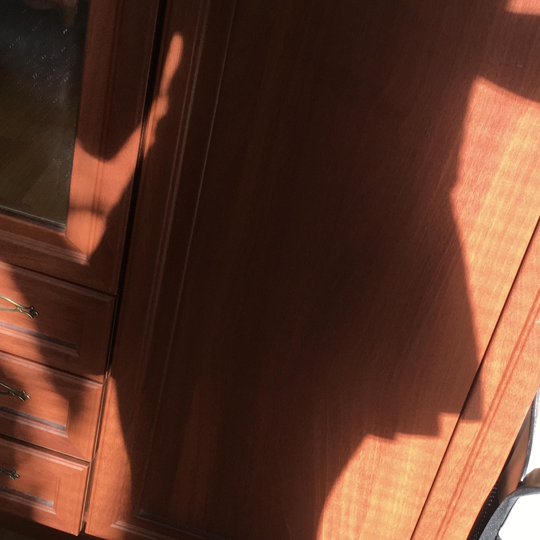 shadow 2 | Scrolller