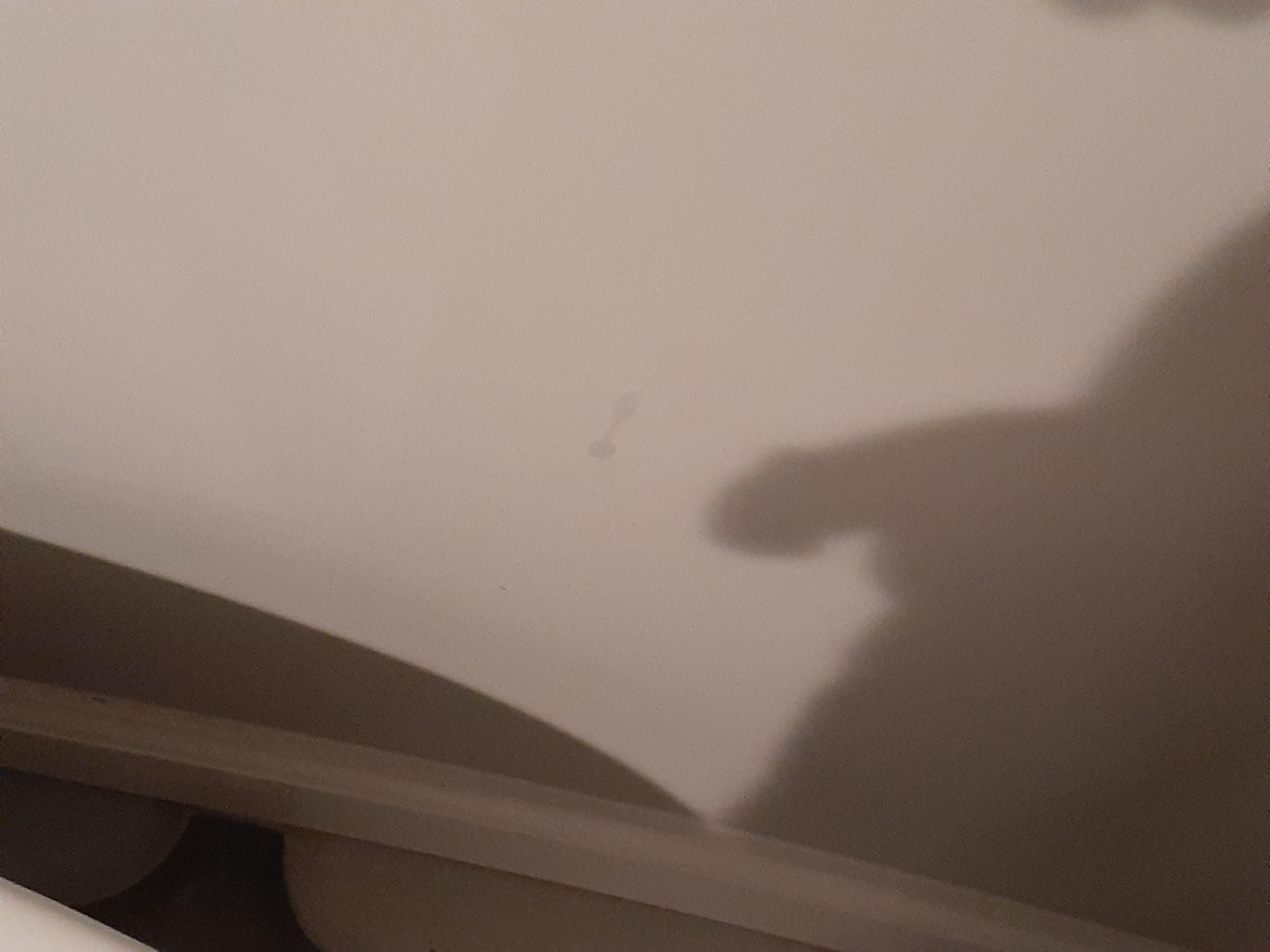 Shadow work | Scrolller