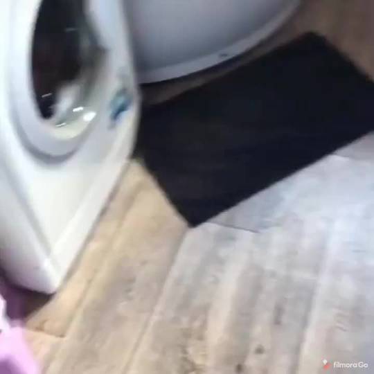 Shaky shaky | Scrolller