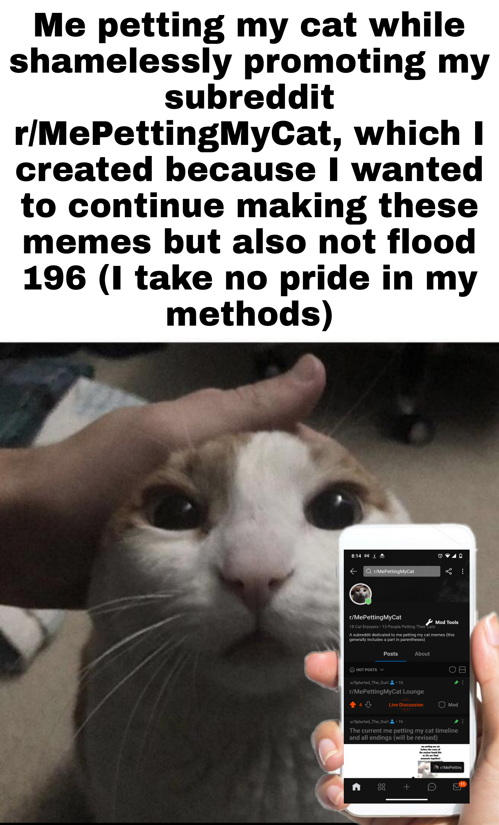 Shameless self promotion | Scrolller