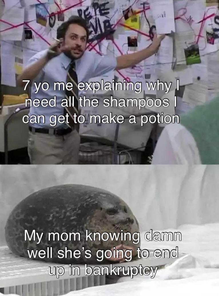 Shampoo is expensive | Scrolller