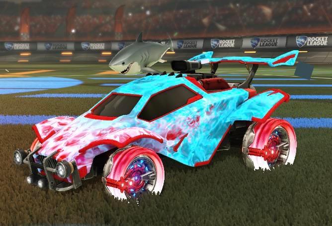 Shark Attack! | Scrolller