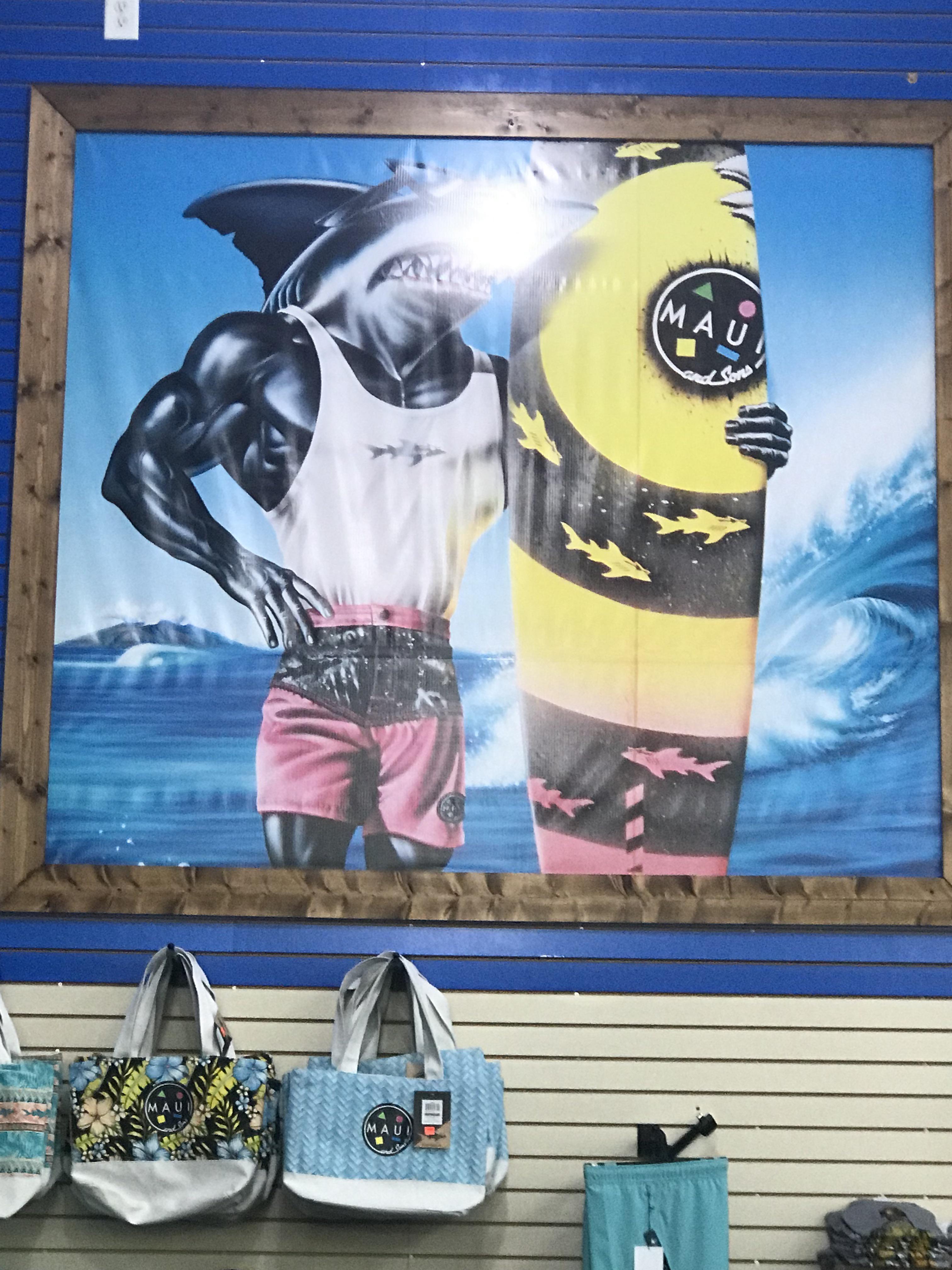 Shark_irl | Scrolller