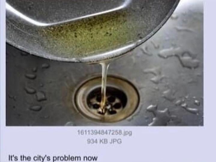 Shark Mentality | Scrolller