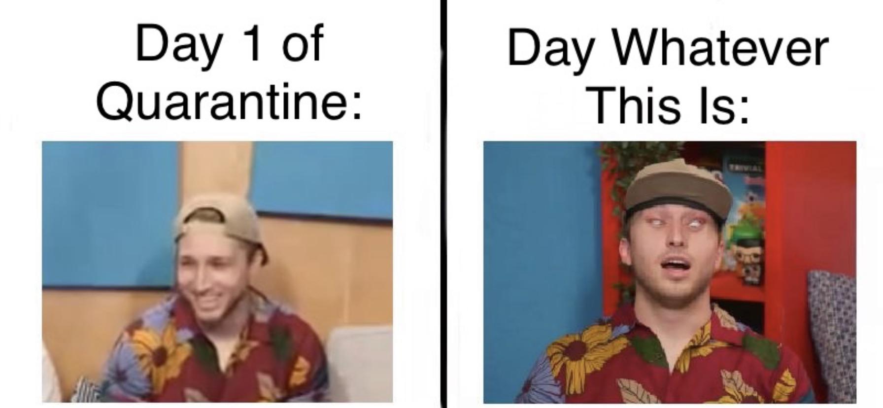 Shayne Scrolller