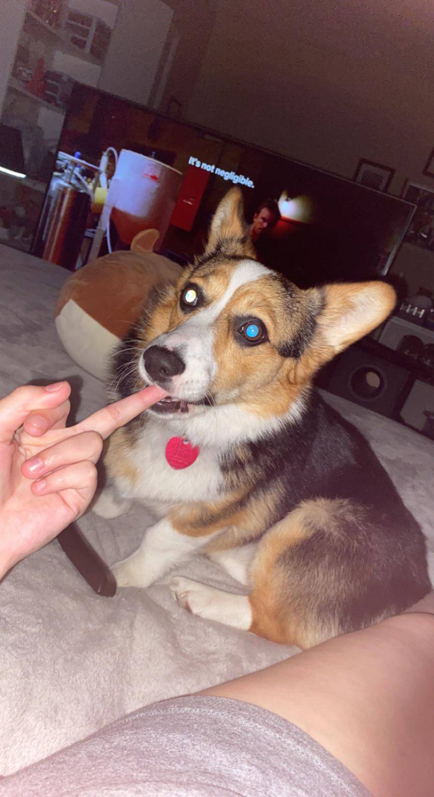 She bite | Scrolller