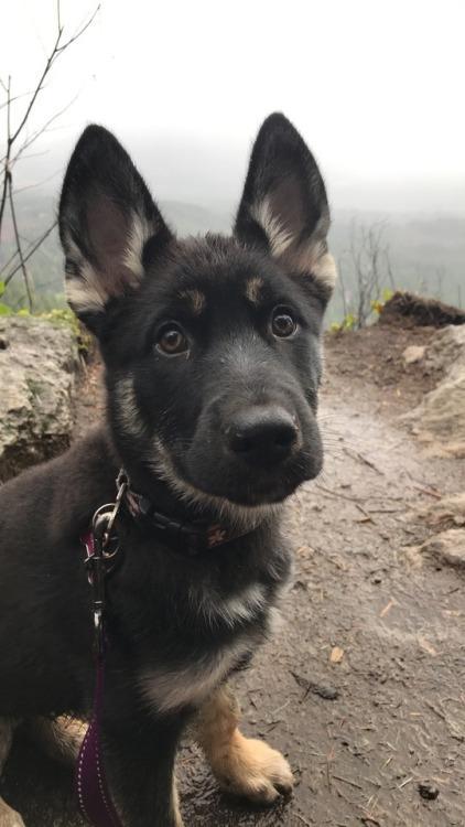 She did so well on her first hike! | Scrolller