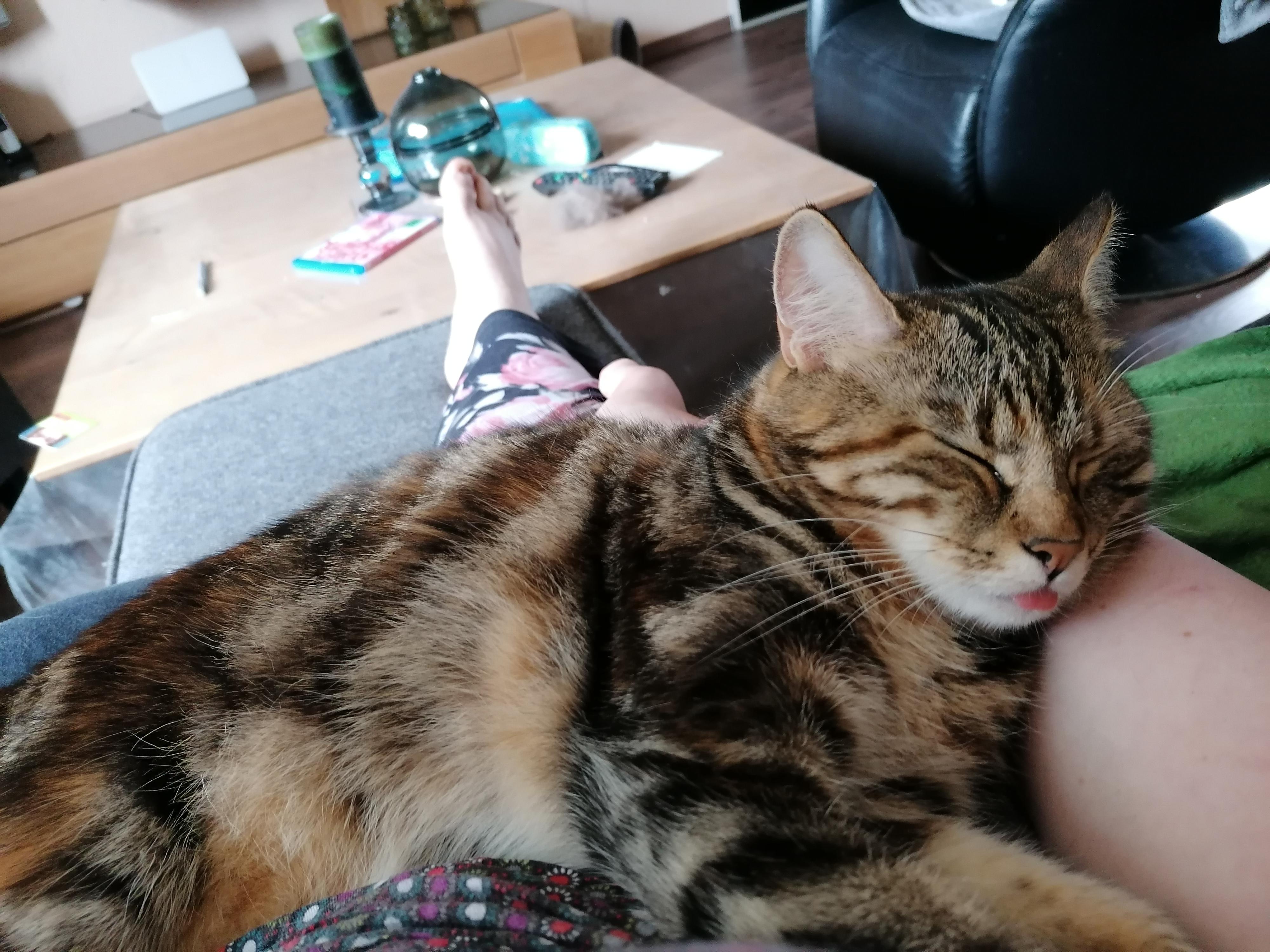 She fell asleep like that | Scrolller