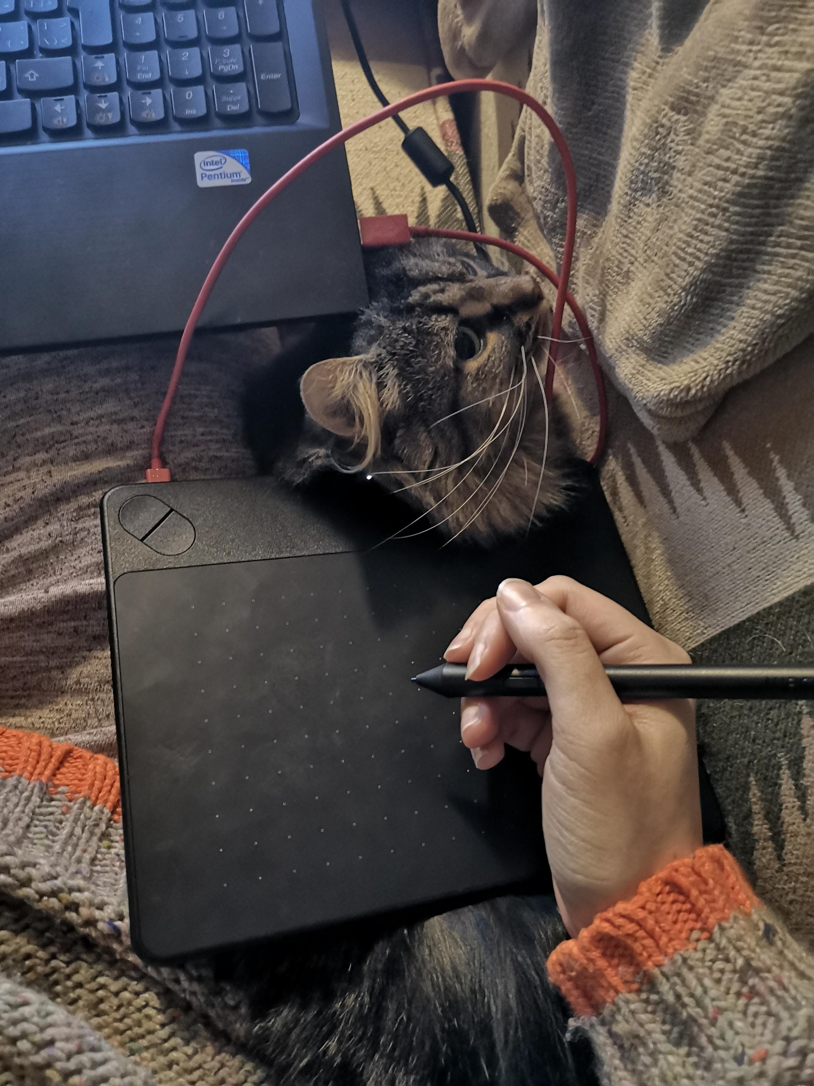 she fits. A+ table. | Scrolller