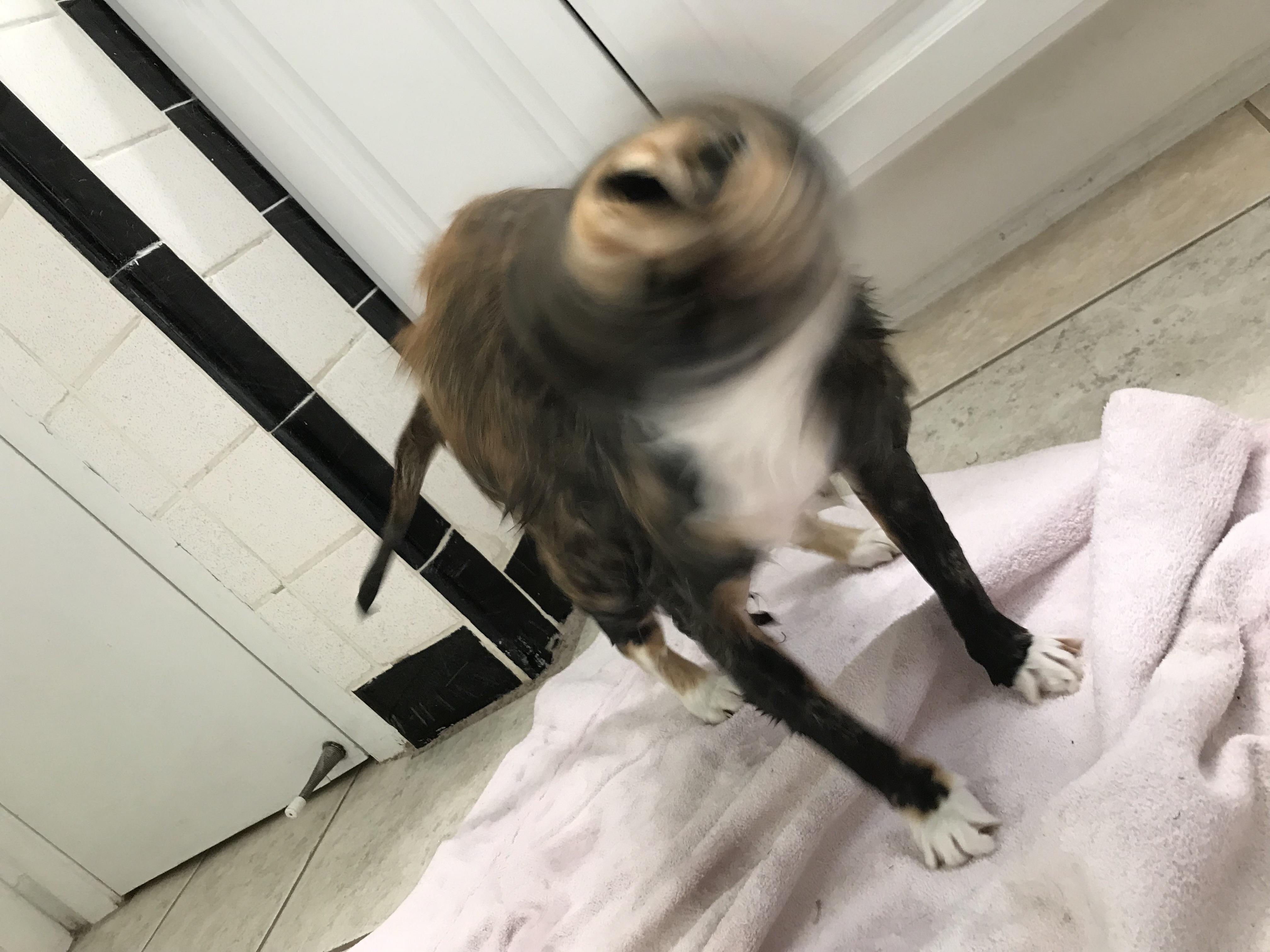 she got a bath | Scrolller