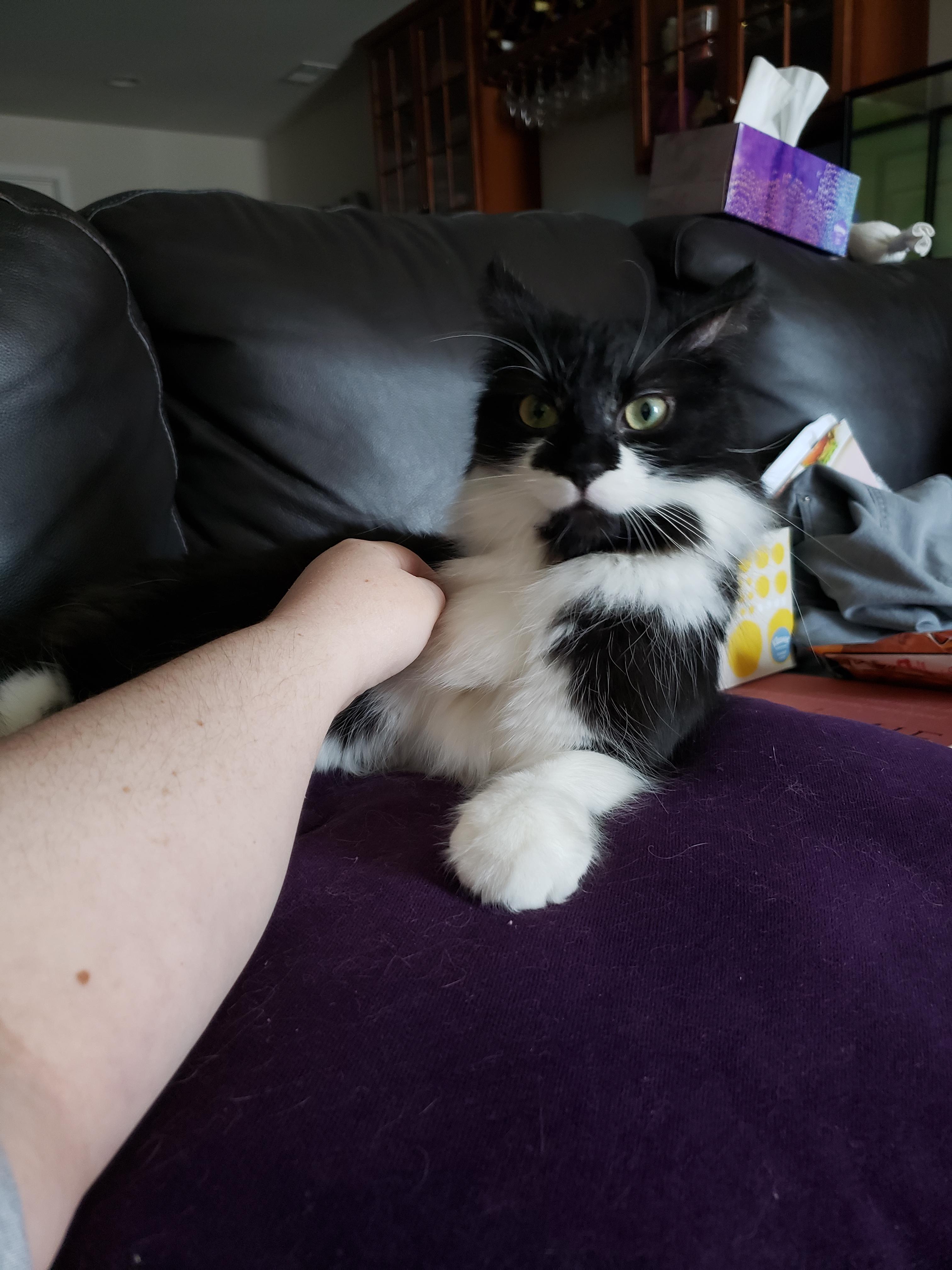 She heard footsteps from upstairs. | Scrolller