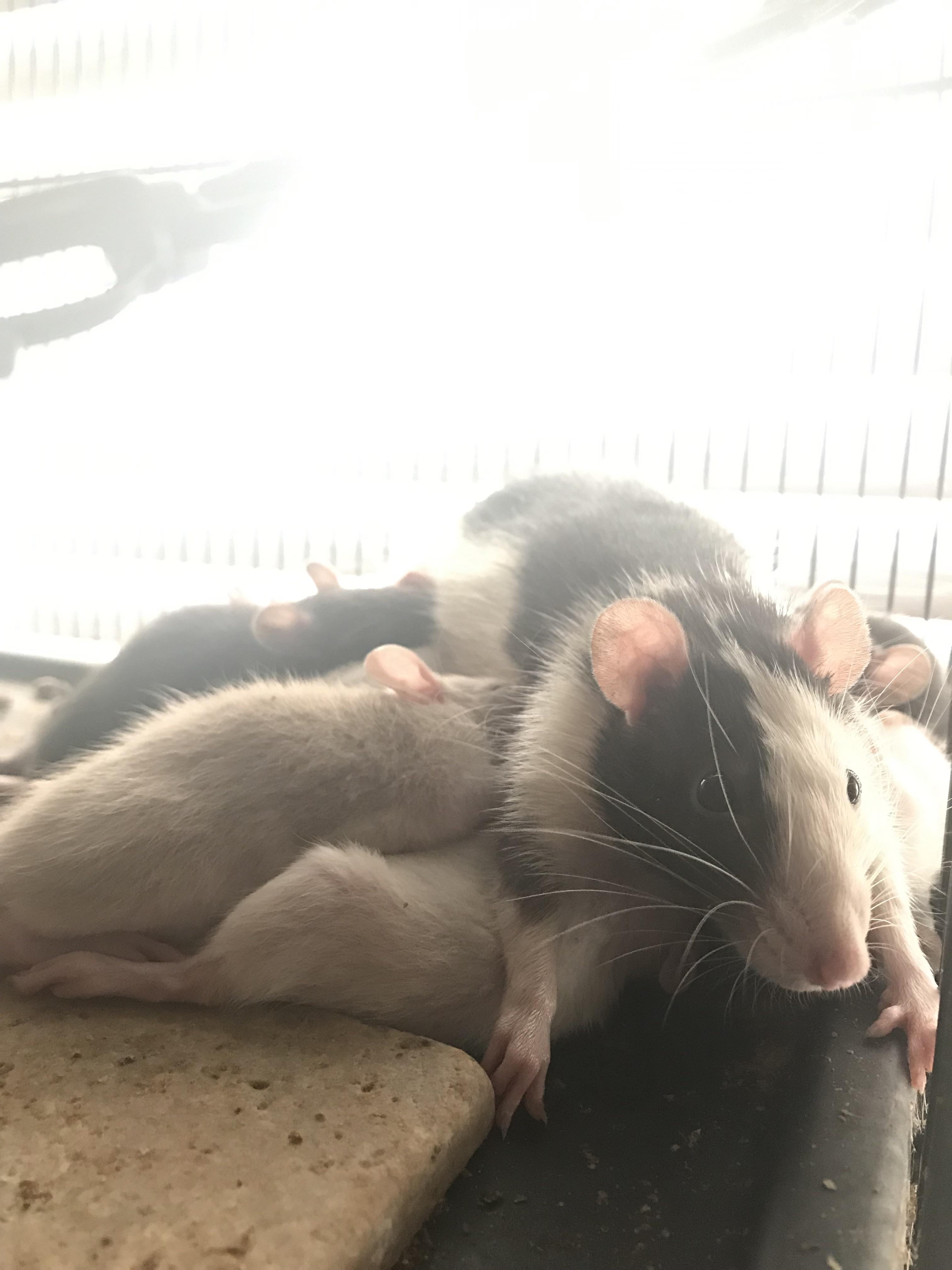 She is just the utter definition of done. | Scrolller