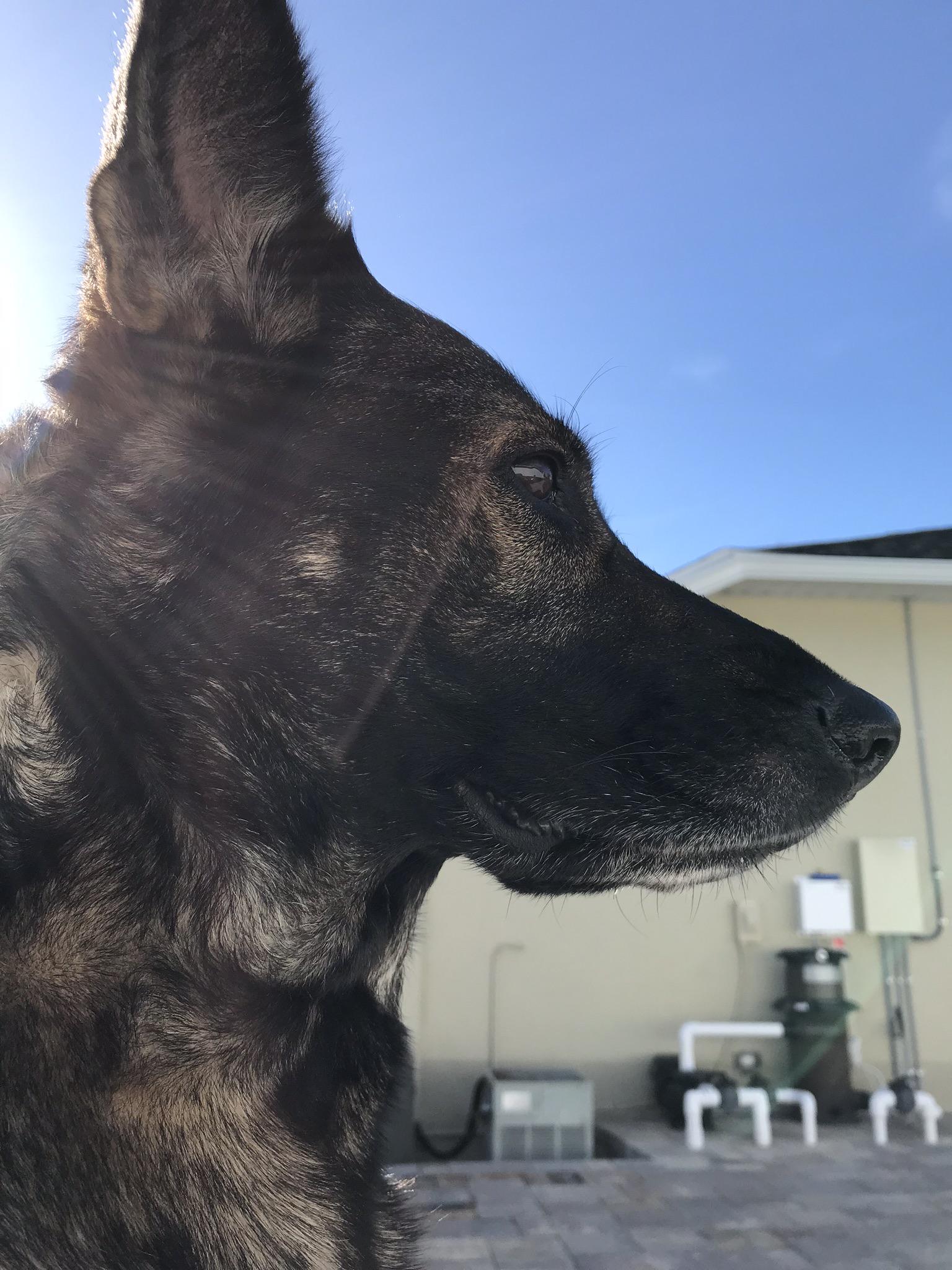 She poses for every picture | Scrolller