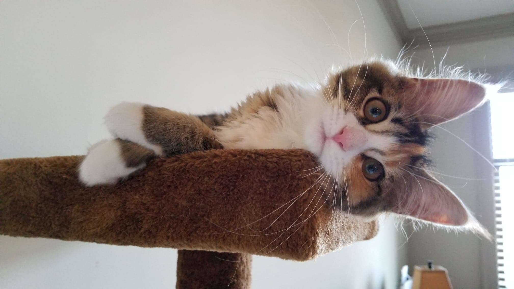 She poses to show off her feetsies | Scrolller